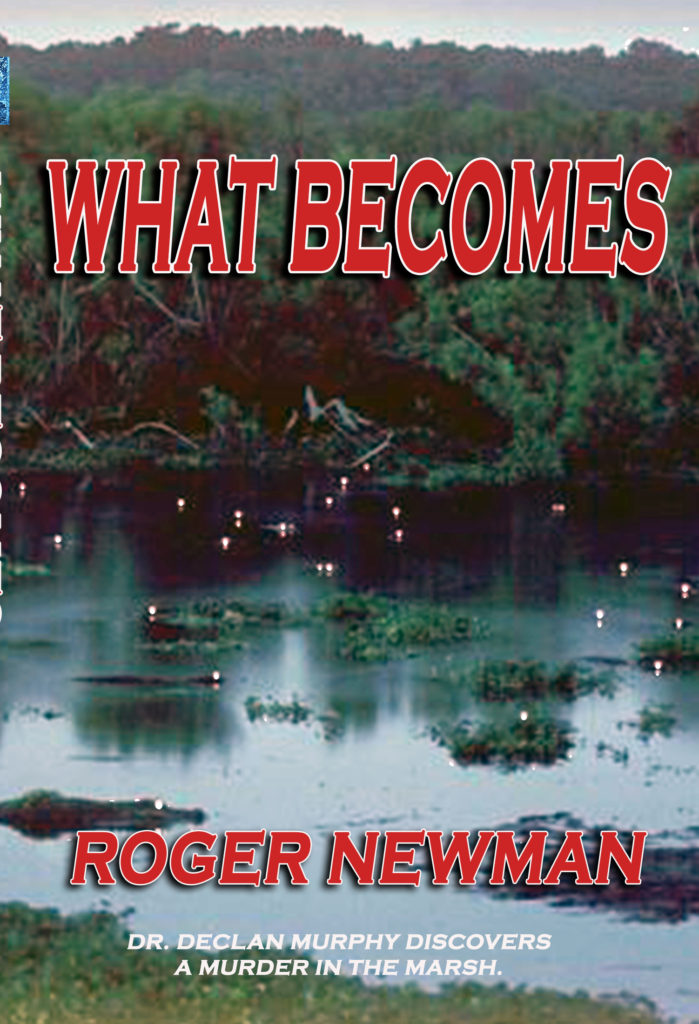 Home - Roger B Newman Novelist
